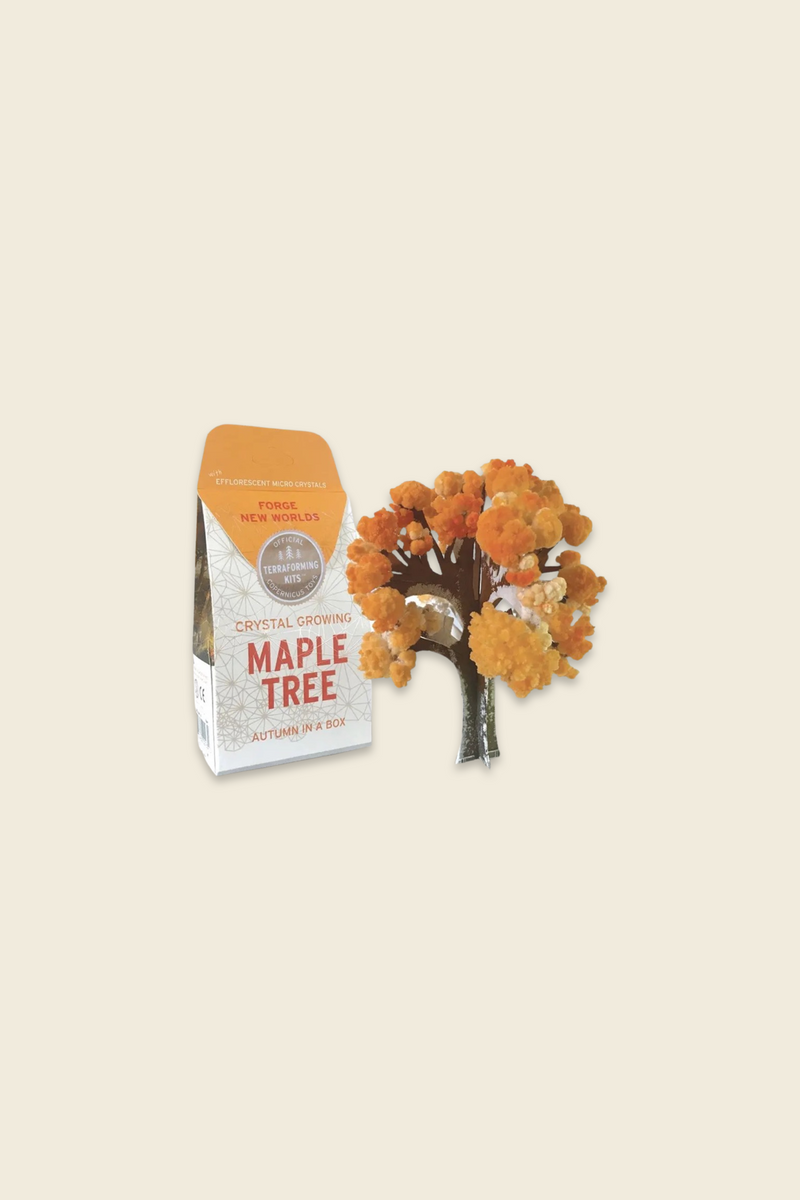CRYSTAL GROWING - MAPLE TREE – Monomini